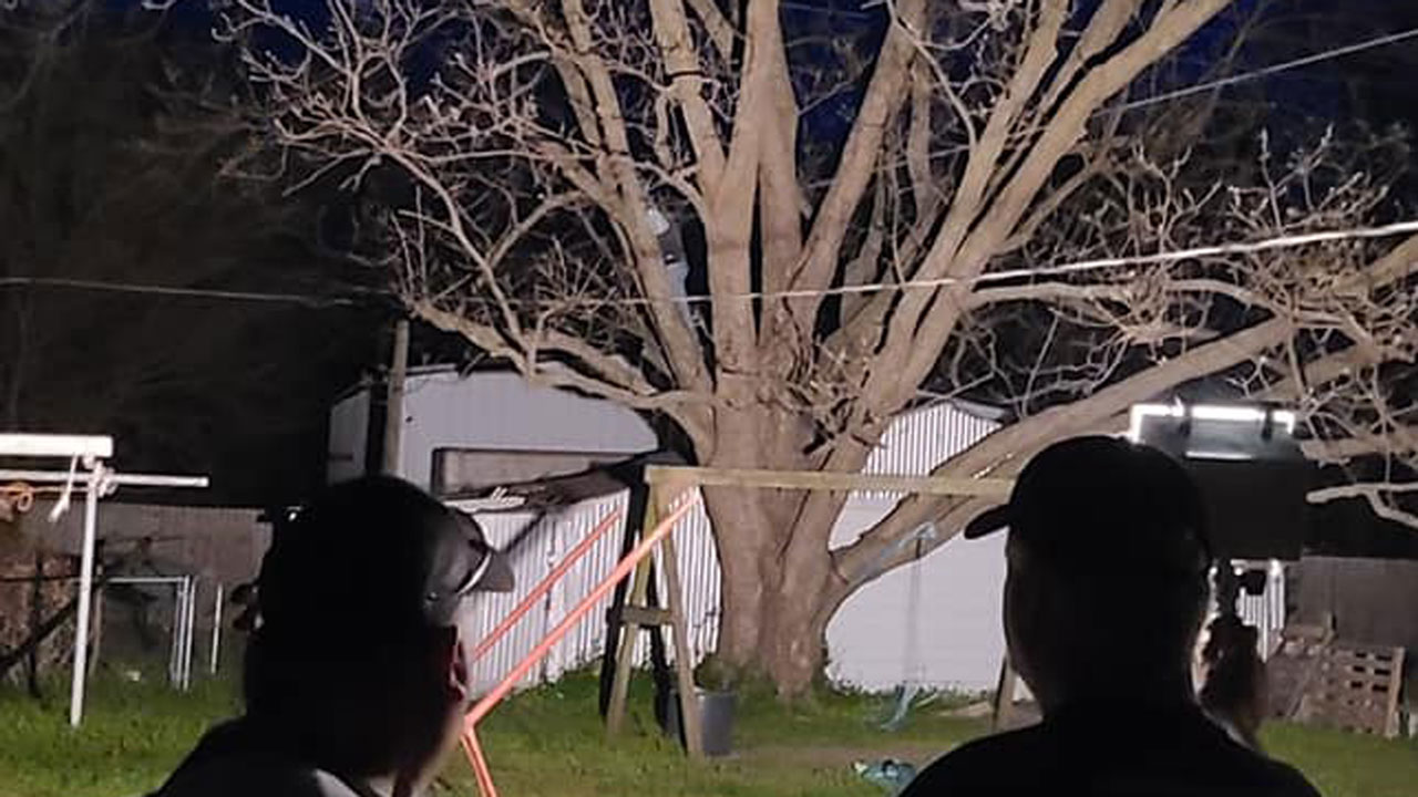 After 6 Hours, Ramona Police Capture Suspect Who Refused To Climb Down ...