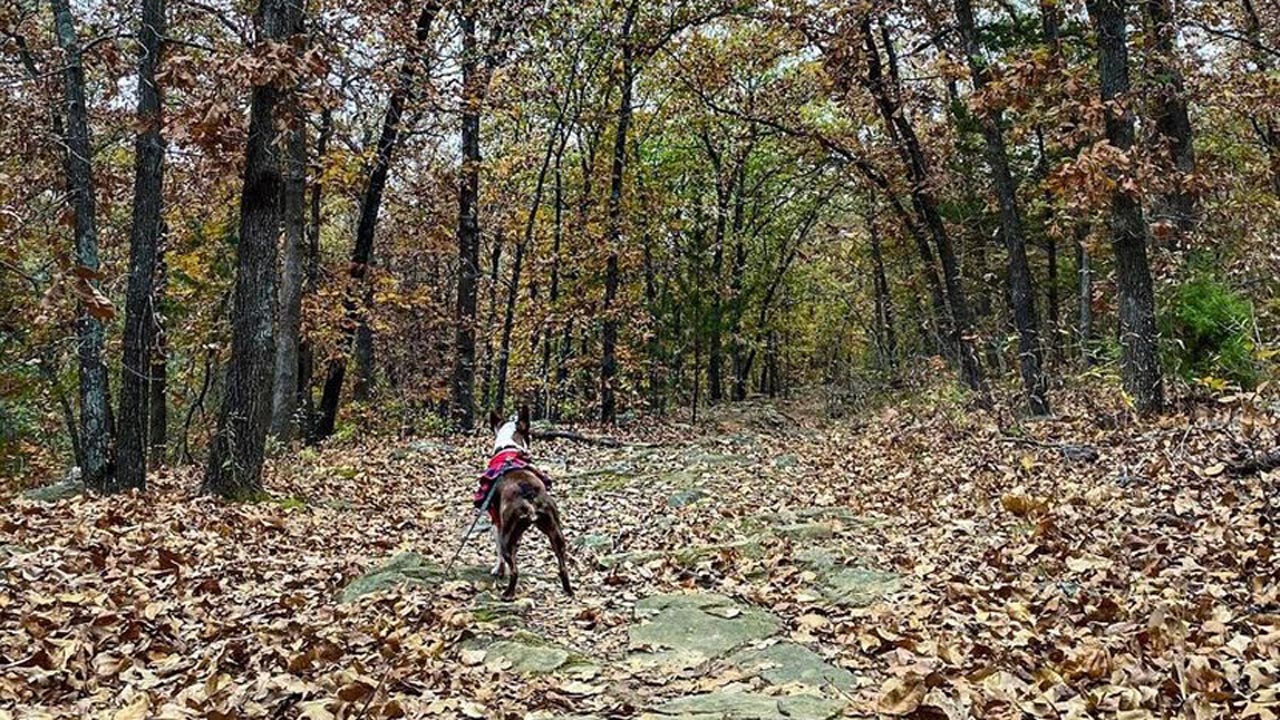 Tulsa's best hiking and biking trails
