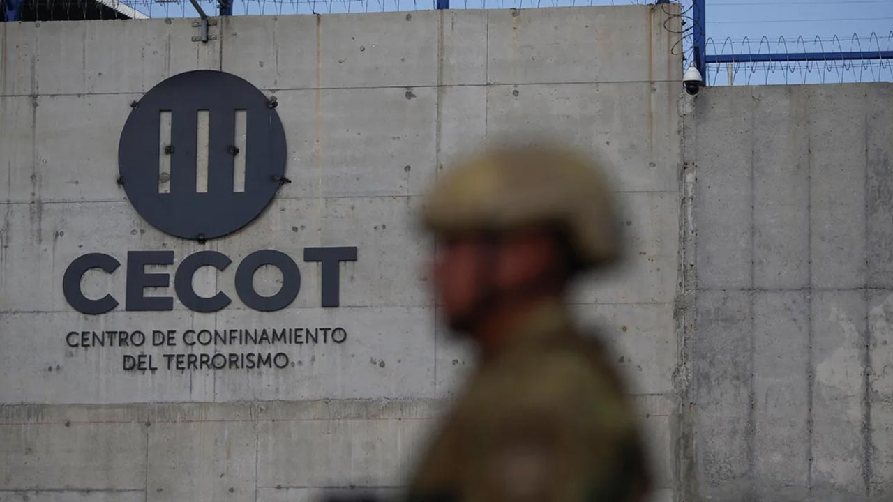 President Trump says he would 'love to' send American 'homegrown ...