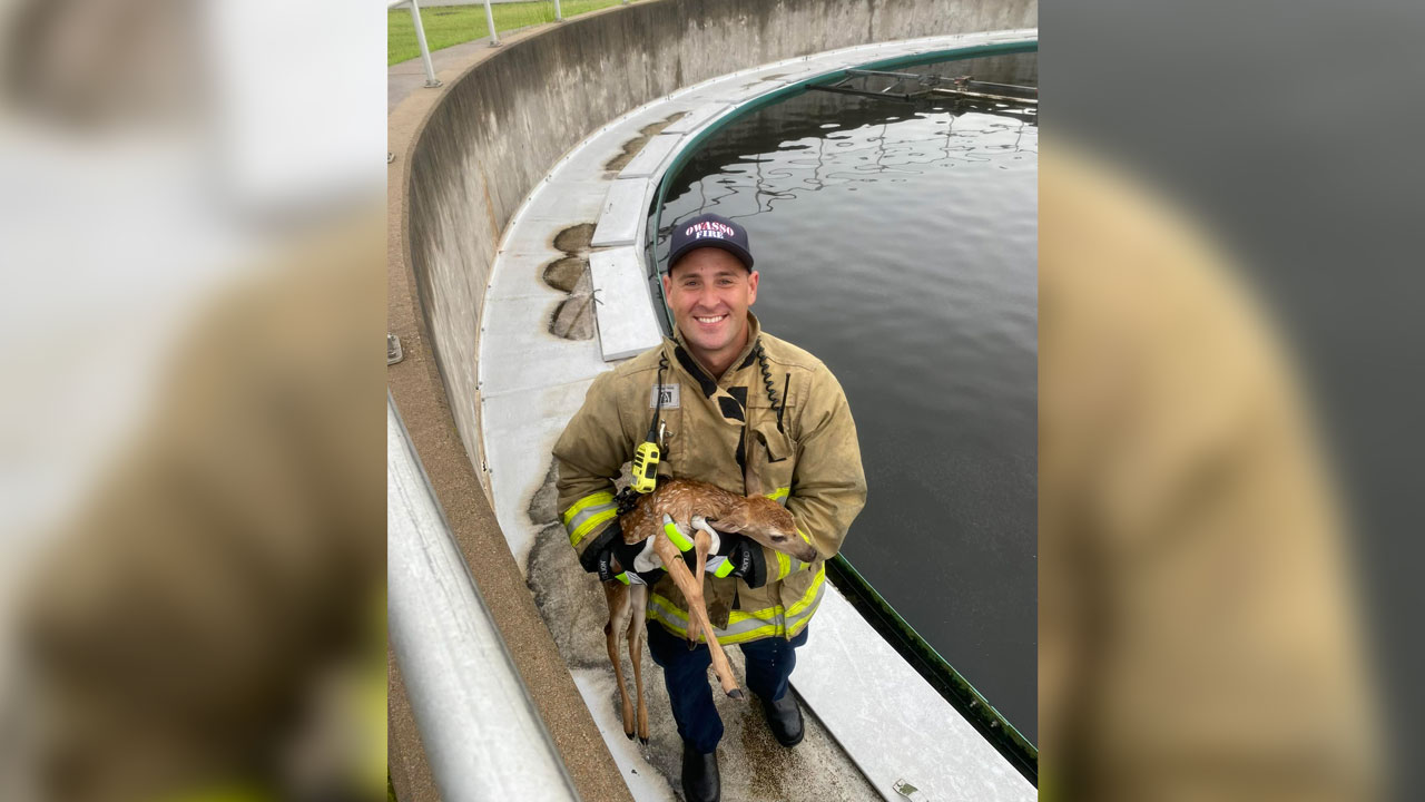 Deer rescued from wastewater tank by Owasso firefighters