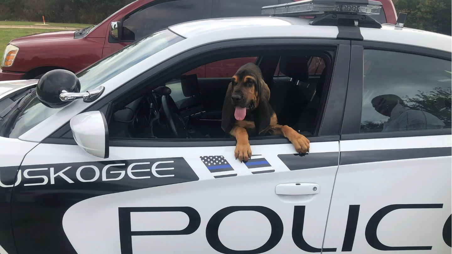 Muskogee Police to Honor Fallen K-9 Tracker with Procession Friday