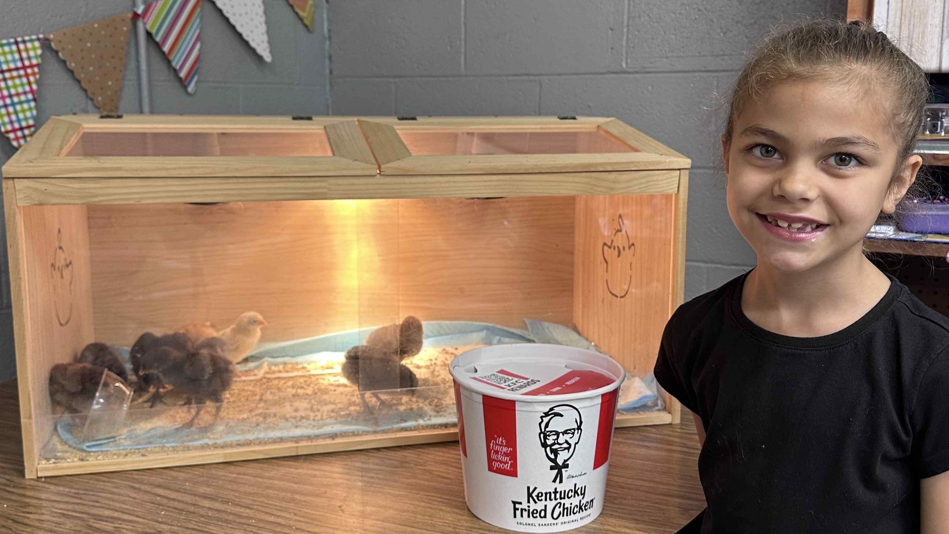 Oklahoma student uses KFC bucket to take chick home, school starts new ...