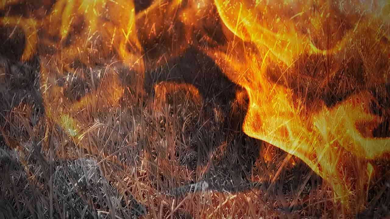 Crews Battle Grass Fire In Cleveland County