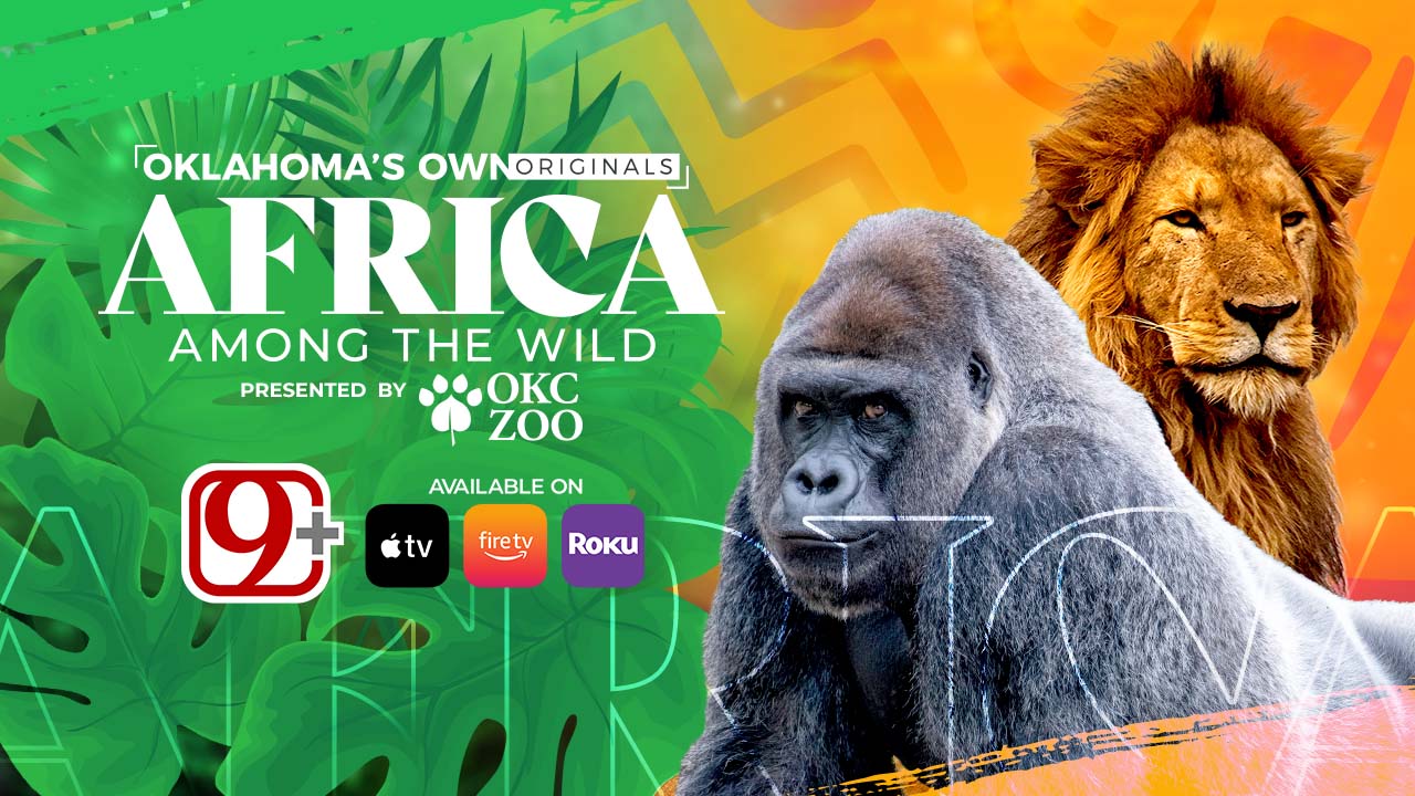 Watch 'Africa: Among The Wild,' Our Oklahoma's Own Originals Special