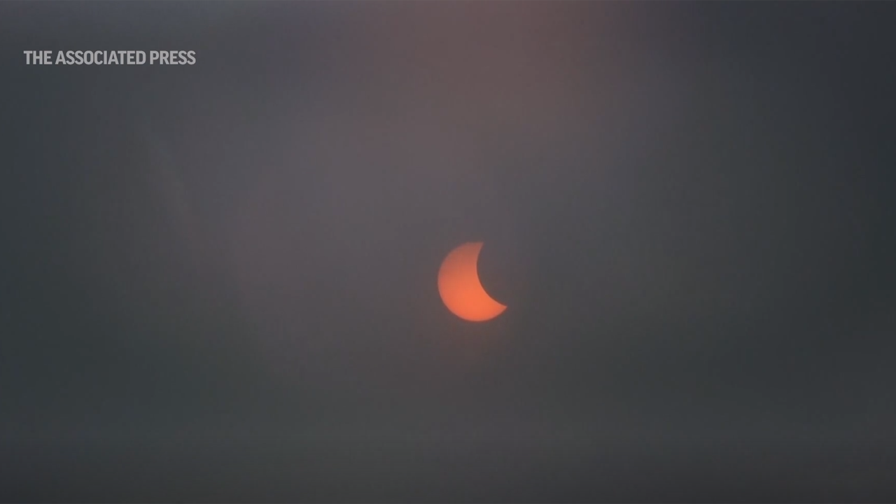 How Do Animals React During A Total Solar Eclipse? Scientists Plan To Find Out In April