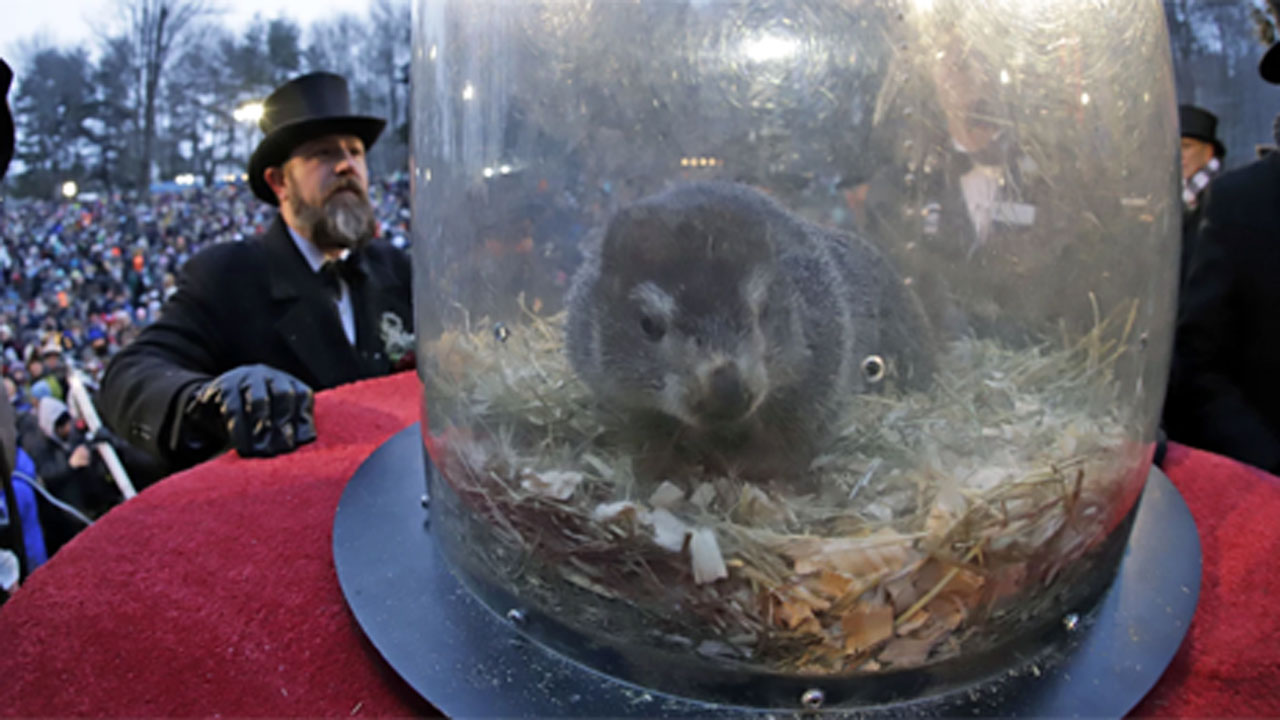 Punxsutawney Phil sees his shadow, handlers say, predicting 6 more ...