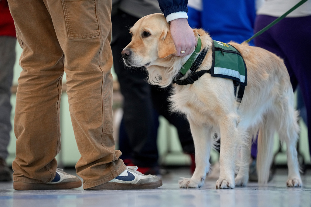 New bill could criminalize misrepresentation of service animals in Oklahoma